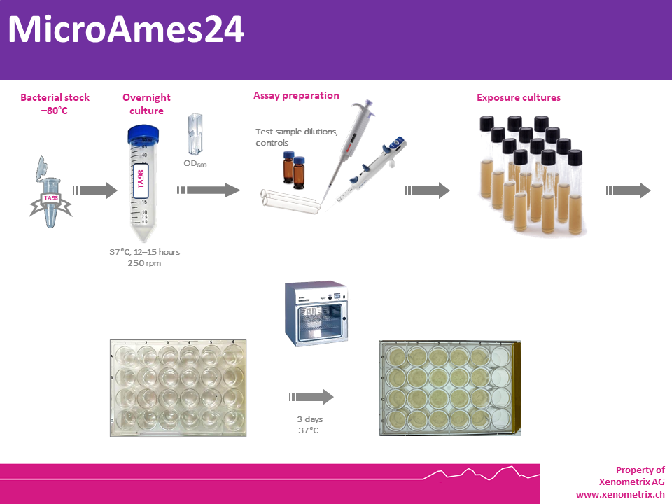 Miniaturized Ames Test - Xenometrix