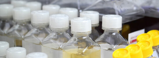 Ames Positive Controls for Ames Microfluctuation Assay Ames MPF or Am