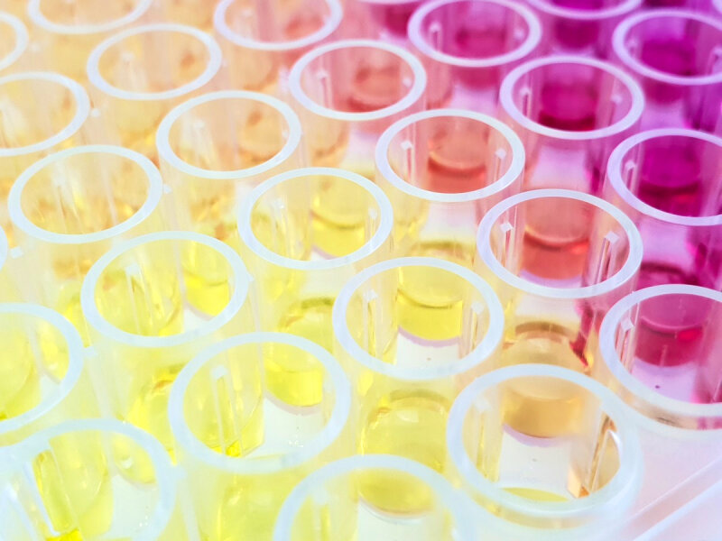 YES YAS test, transcriptional activation assays based on yeast strain