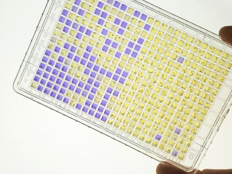 Bacterial Reverse Mutation Test – AMES Test Bacterial Reverse Mutation Test – AMES Test